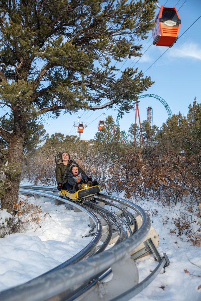 Mountaintop Crowd Pleaser: The Alpine Coaster
